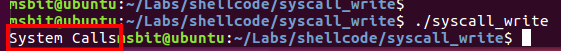 Understanding Shellcode: Key Concepts for Cybersecurity Experts