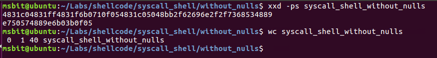 Understanding Shellcode: Key Concepts for Cybersecurity Experts