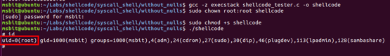 Understanding Shellcode: Key Concepts for Cybersecurity Experts